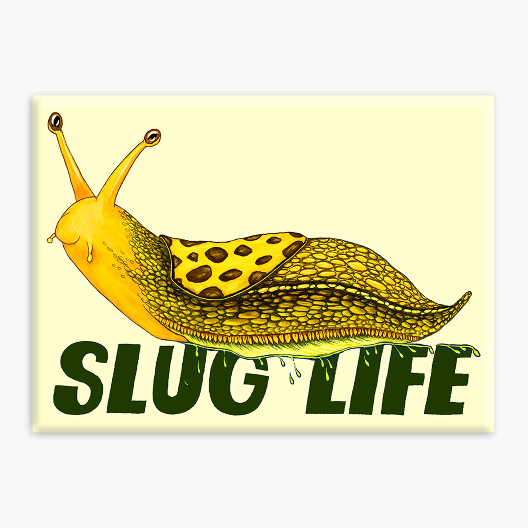 Slug Life - Magnet – Nice Enough Stickers
