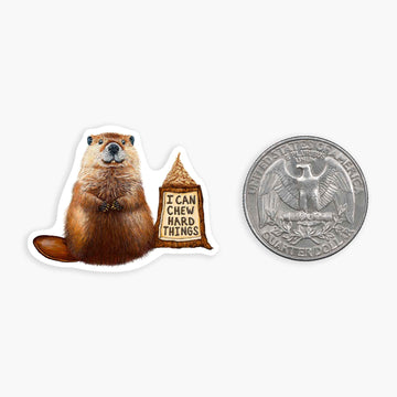 Nice Enough Stickers - Best Quality Vinyl Art Decals for Water Bottles