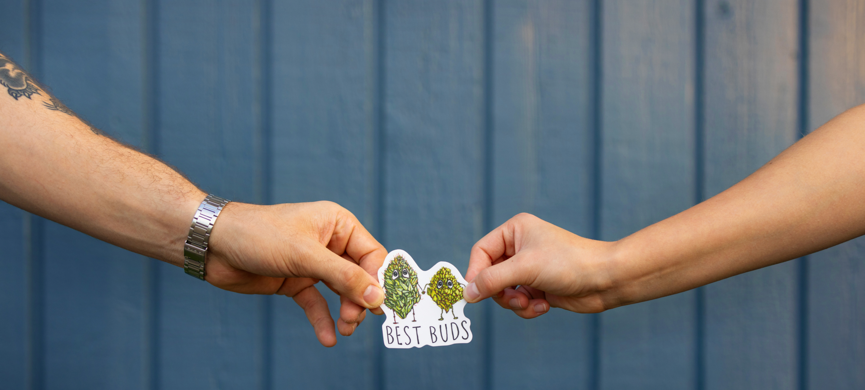 Nice Enough Stickers - Best Quality Vinyl Art Decals for Water Bottles